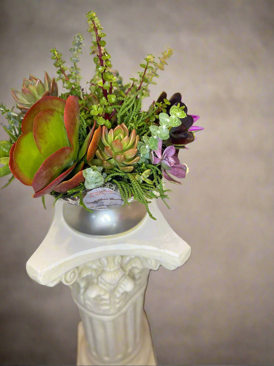 Tiny Garden 1 – Serra Mesa Florist